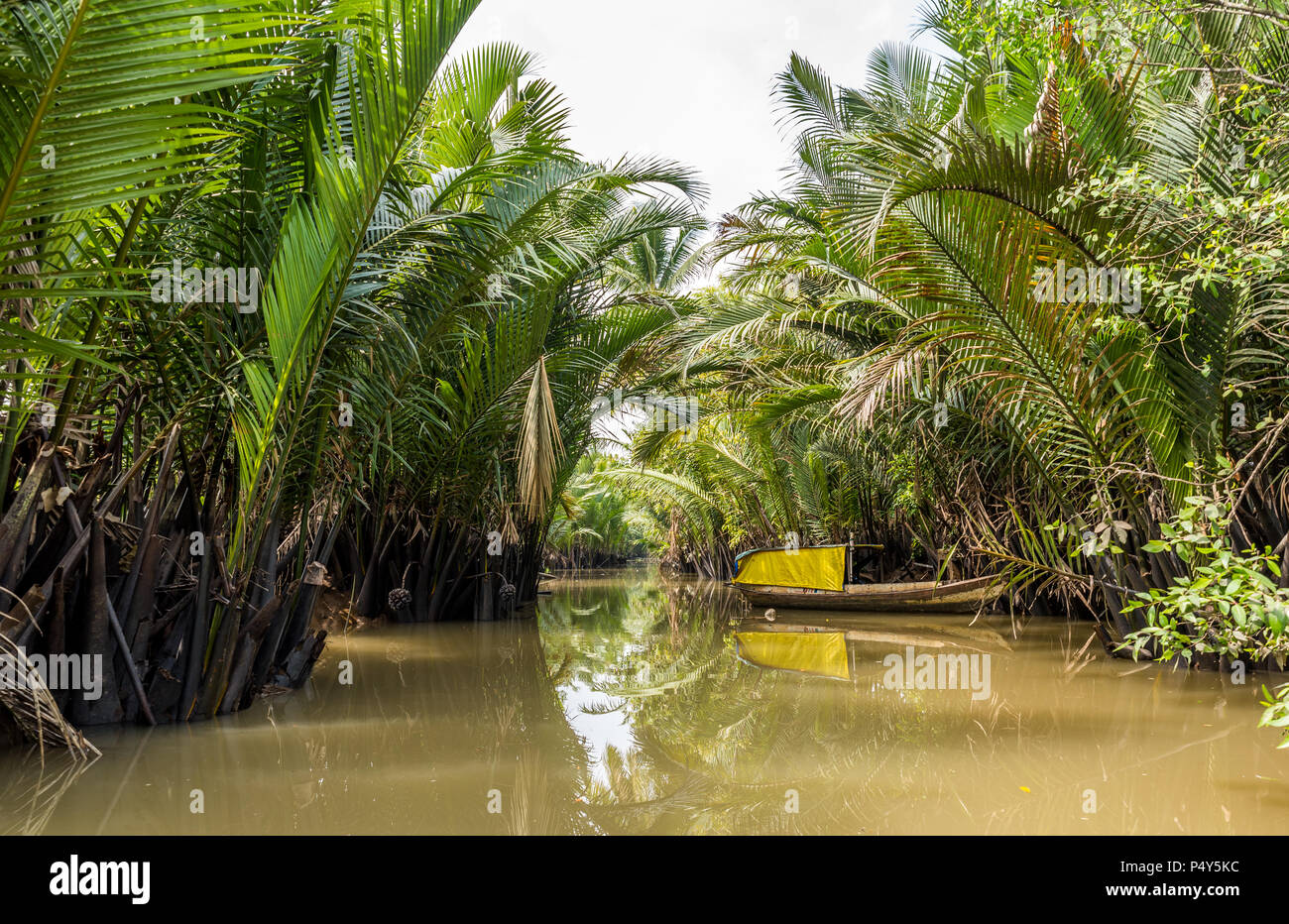 Mekong Delta in Vietnam Stock Photo - Alamy