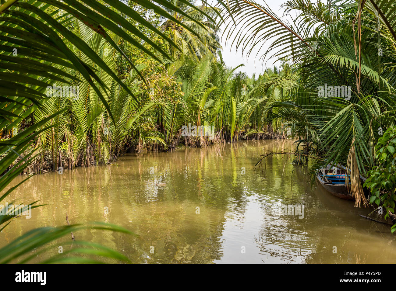 Mekong Delta in Vietnam Stock Photo - Alamy