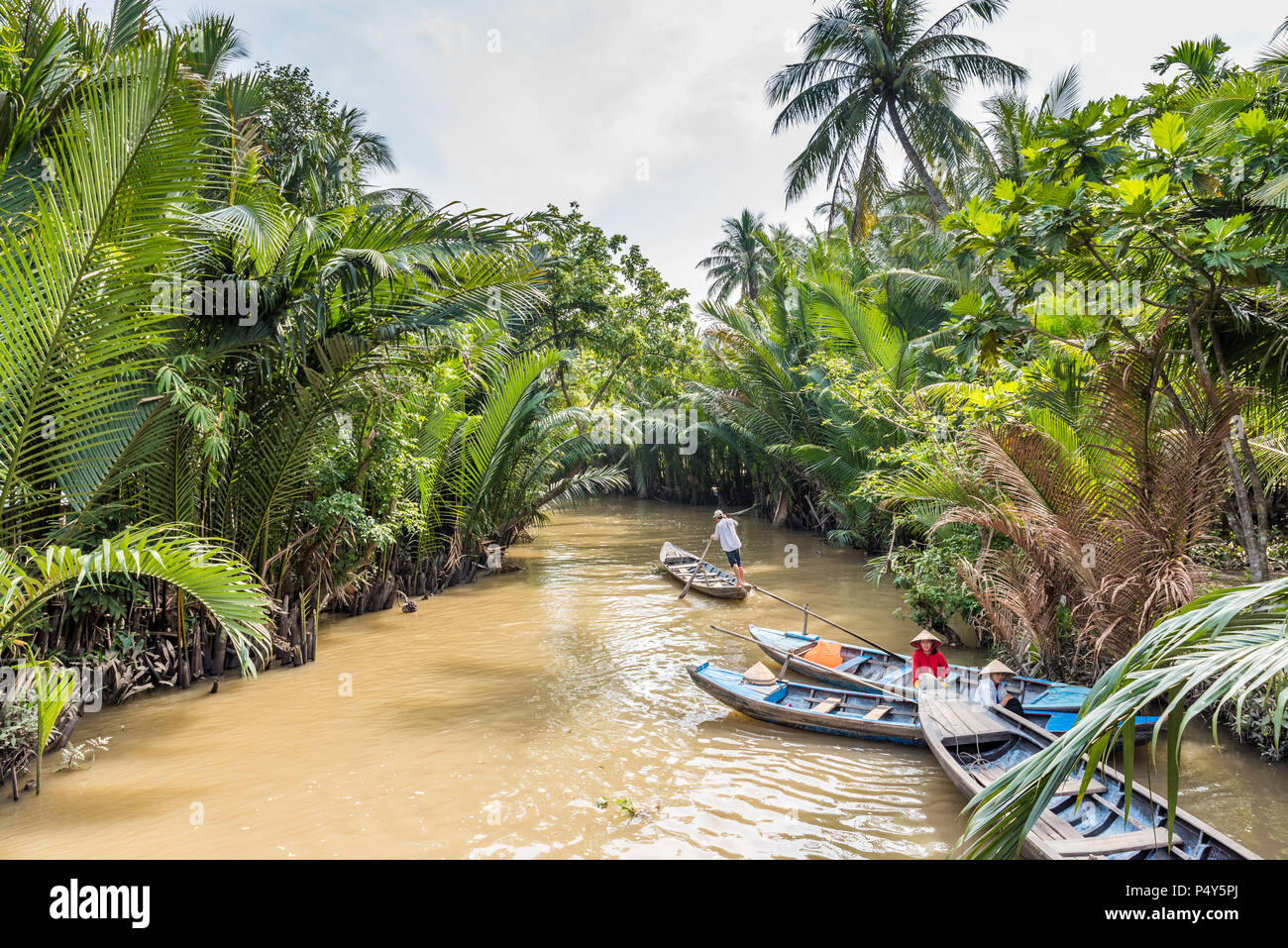 Mekong Delta in Vietnam Stock Photo - Alamy