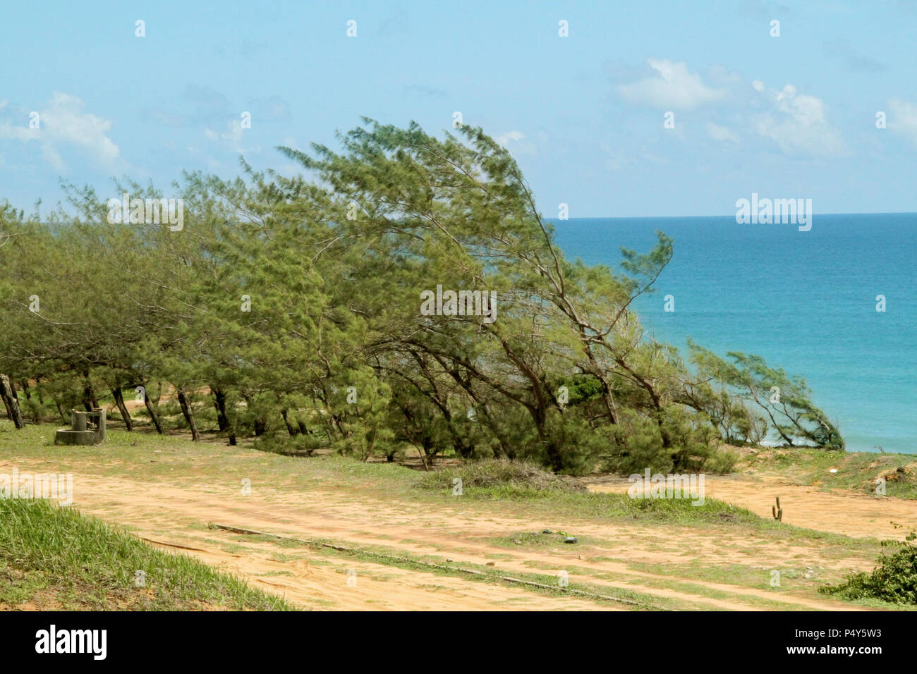 Natal, Rio Grande do Norte, Brazil Stock Photo - Alamy