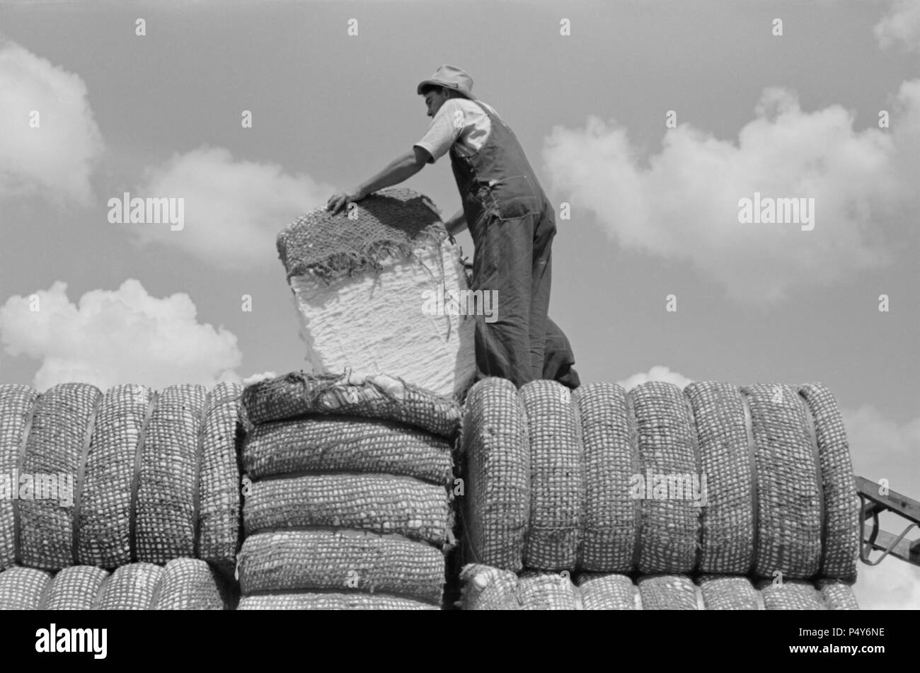 Cotton bales loading hi-res stock photography and images - Alamy