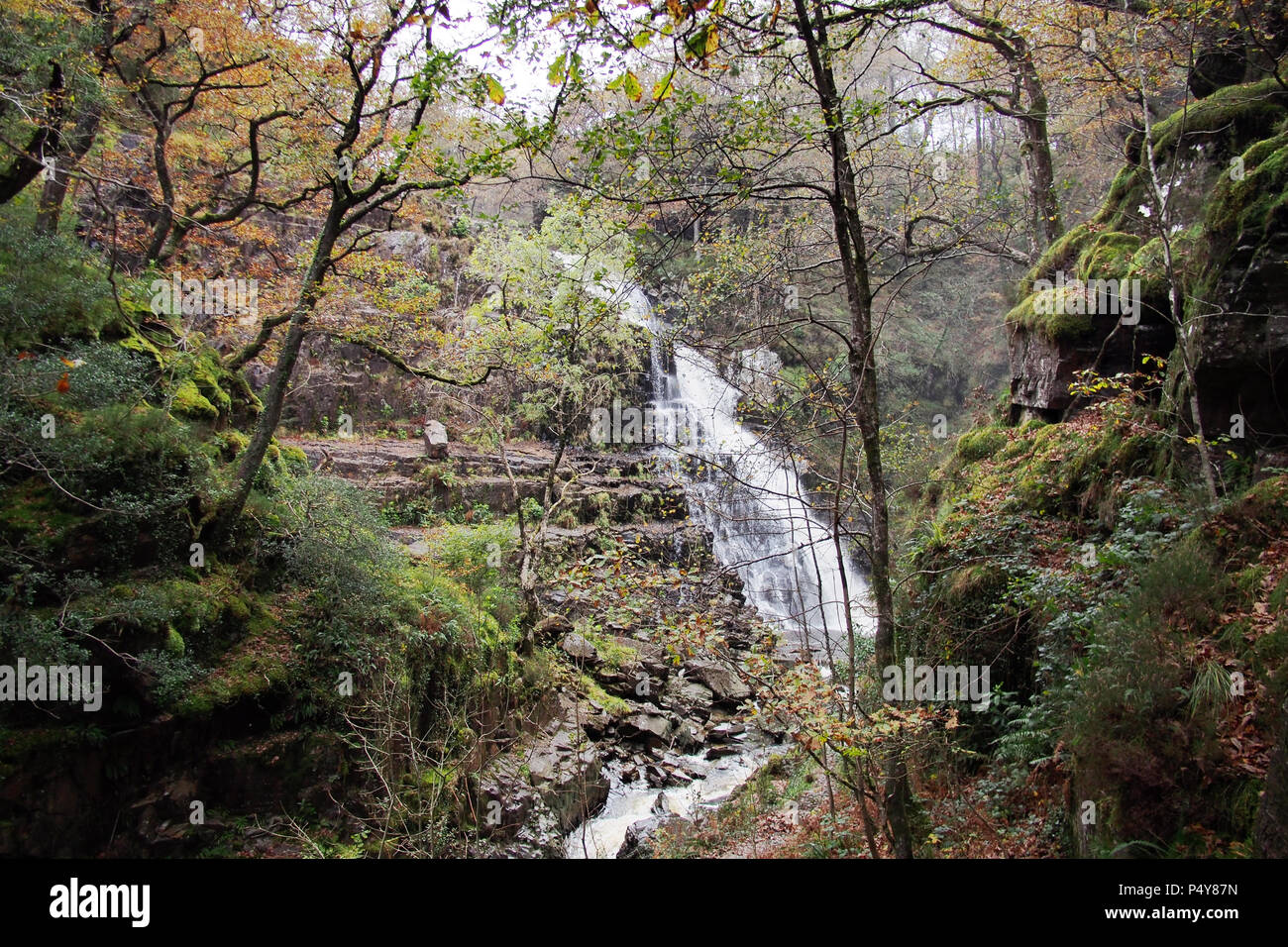 Pistyll Cain · Rhaeadr Mawddach waterfall in Snowdonia National Park ...