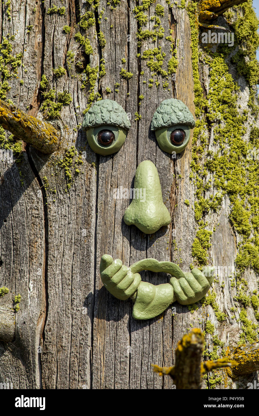 A barren tree has an old face attached to it in Mica Bay in north Idaho ...