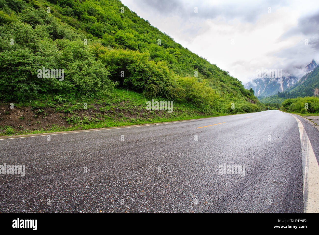A road in the forest valley Stock Photo - Alamy