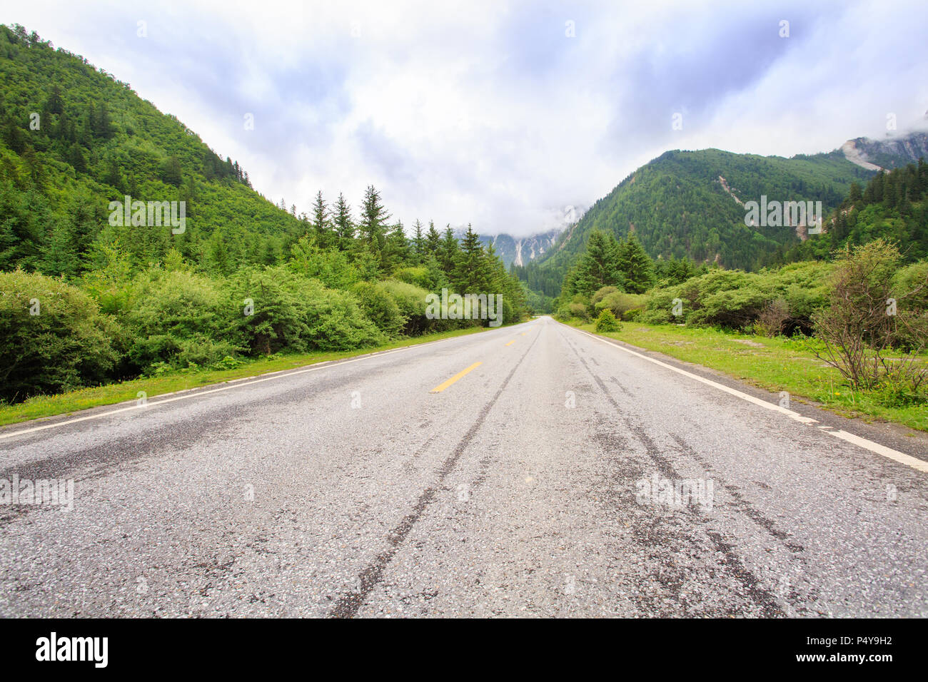 A road in the forest valley Stock Photo - Alamy