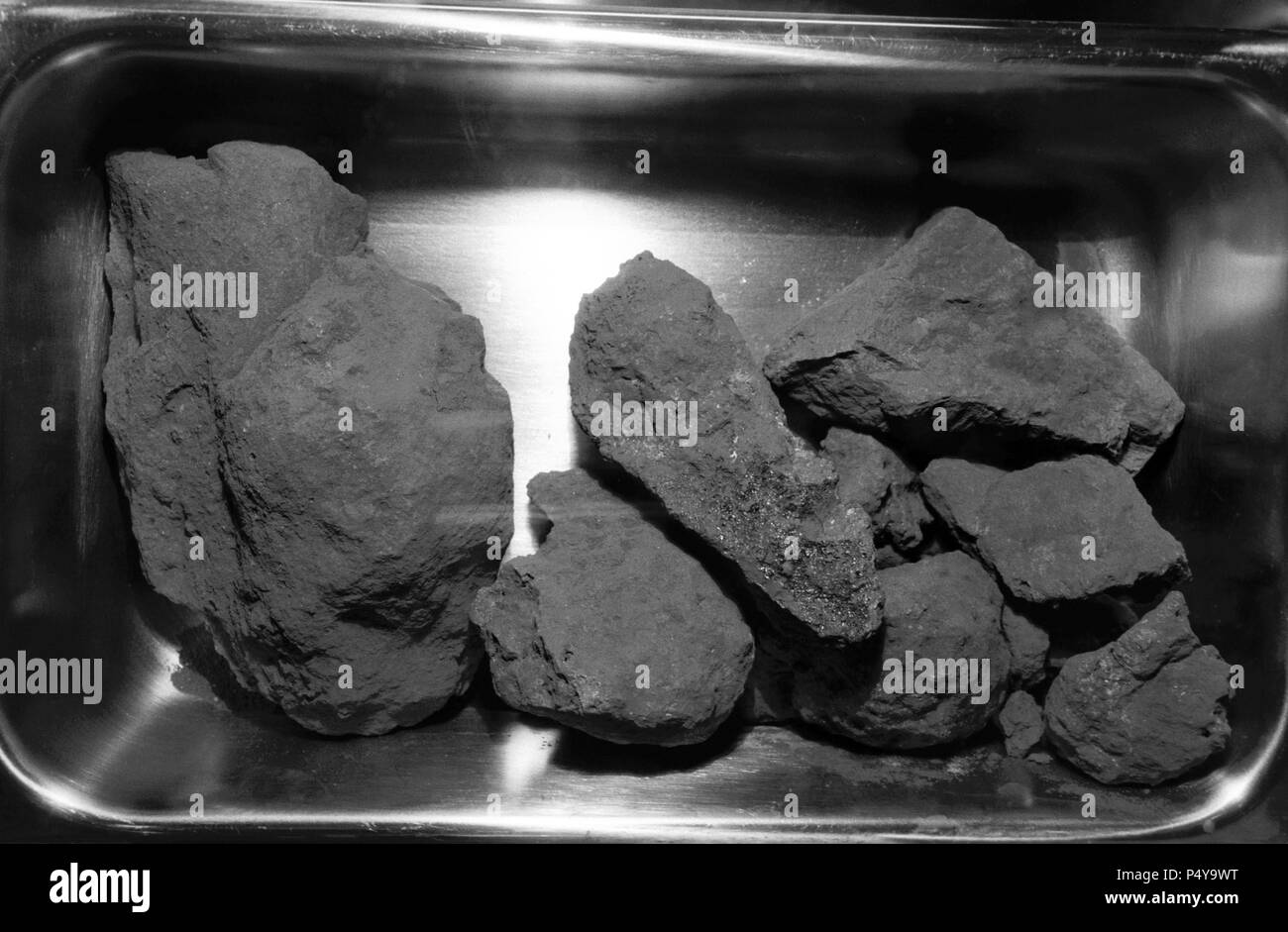 Apollo 11 Moon Samples