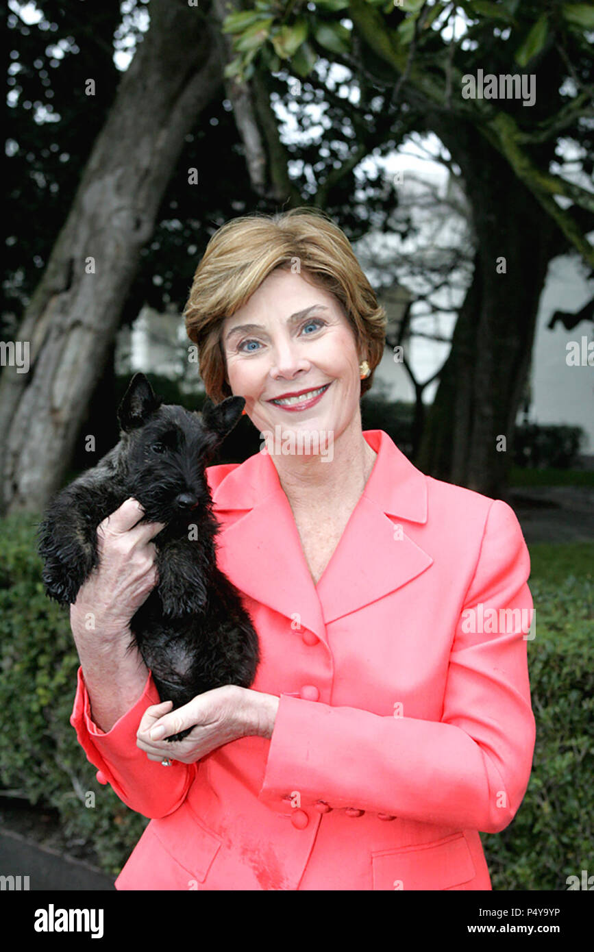 Presentation of Miss. Beazley Stock Photo - Alamy