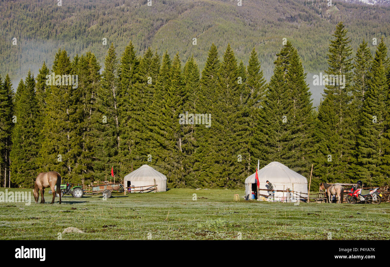 Xinjiang kanas national geopark hi-res stock photography and images - Alamy