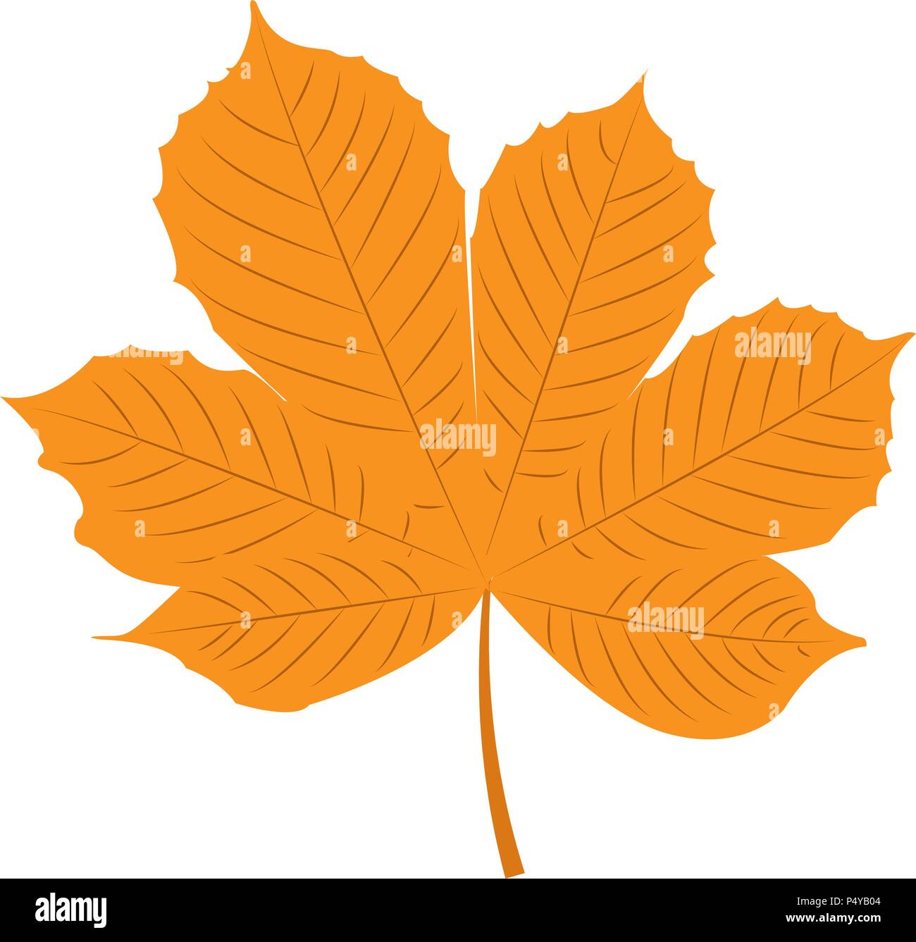 Chestnut leaf isolated Stock Vector Images - Alamy