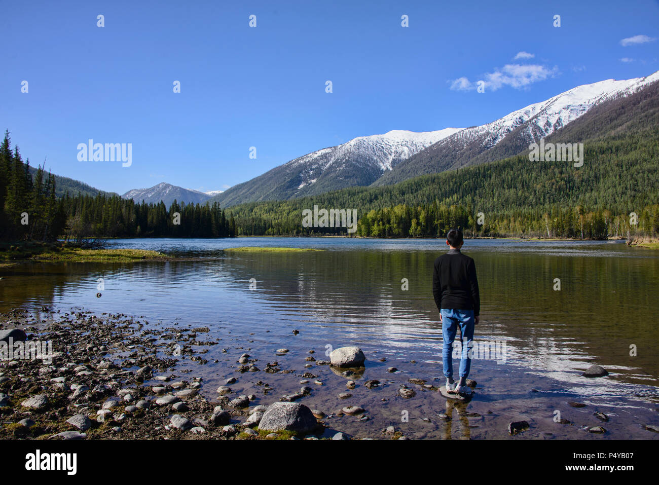 Kanas River at Kanas Lake National Park, Xinjiang, China Stock Photo ...