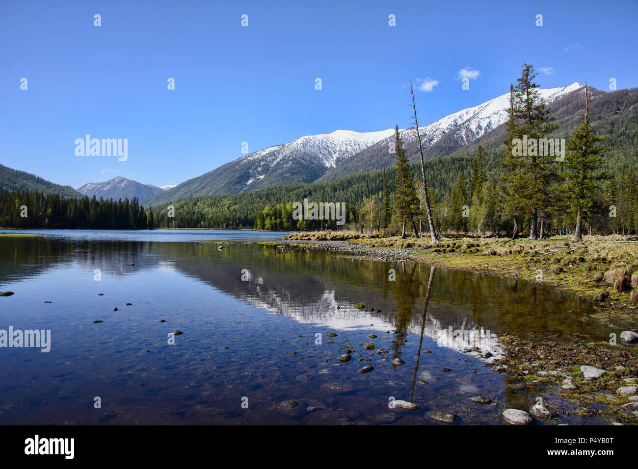 Kanas River at Kanas Lake National Park, Xinjiang, China Stock Photo ...
