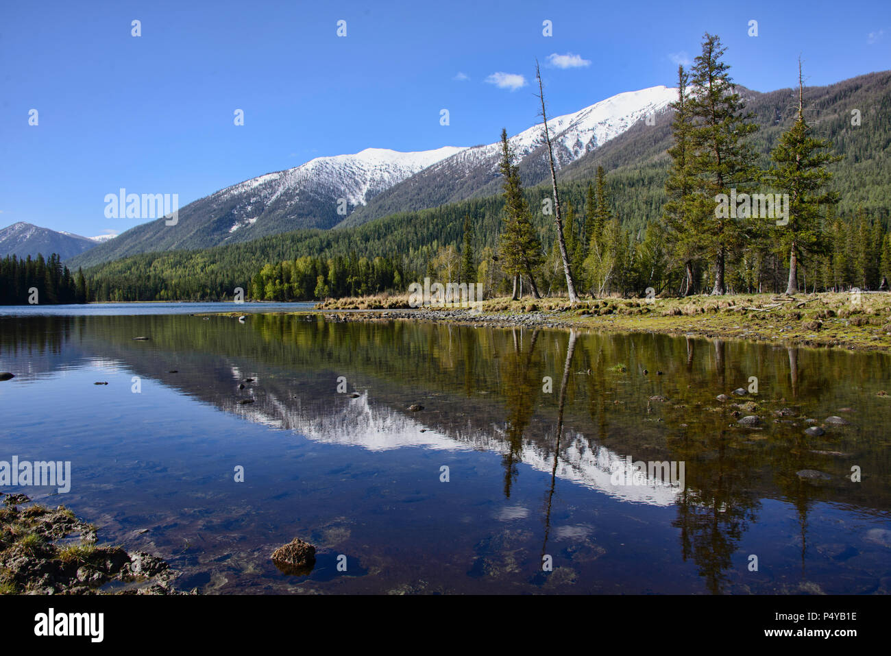 Kanas River at Kanas Lake National Park, Xinjiang, China Stock Photo ...