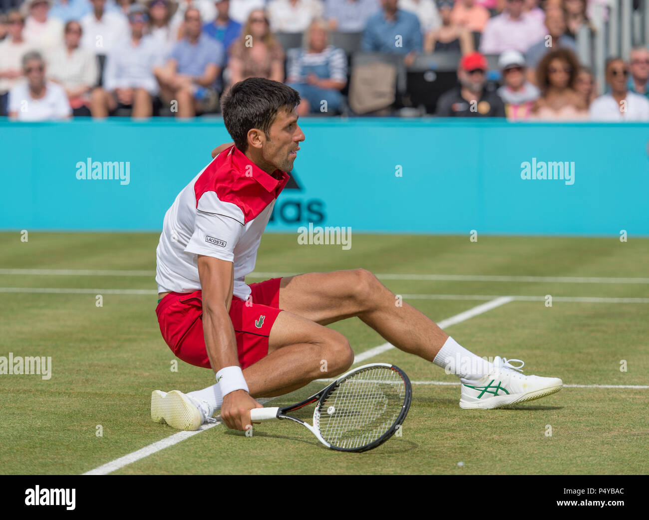 Novak djokovic grass court tennis hi-res stock photography and images ...