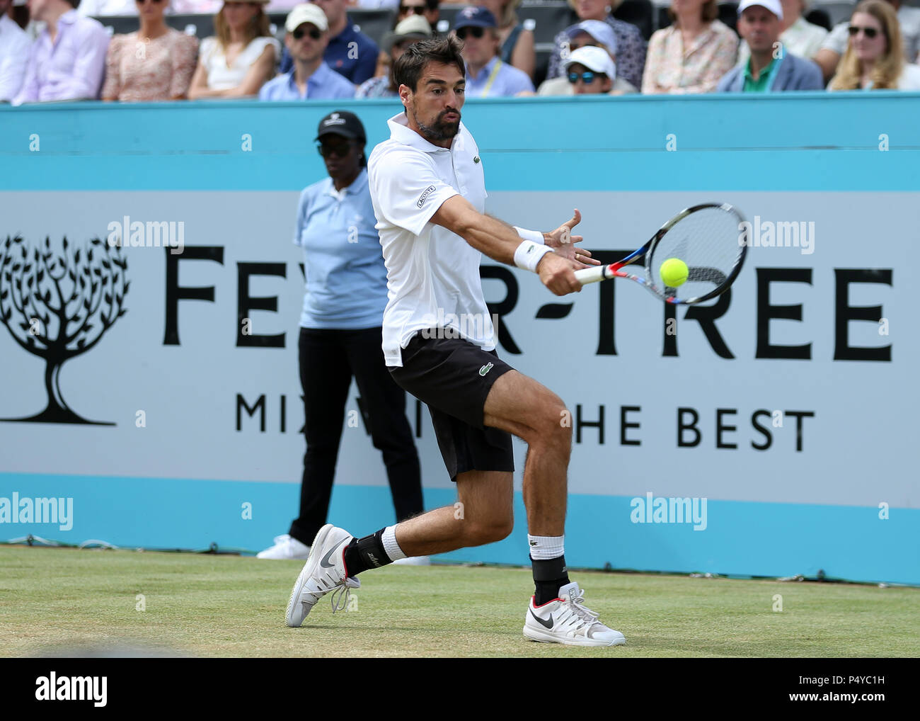 Jeremy tree hi-res stock photography and images - Alamy