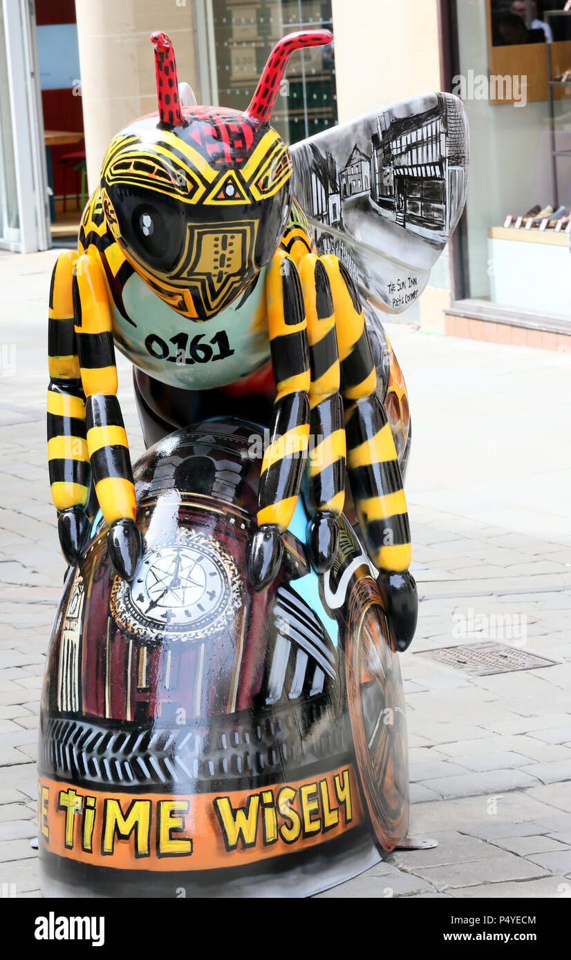 Manchester, UK. 23rd June 2018. A giant "Time Wisely" Bee spotted in ...