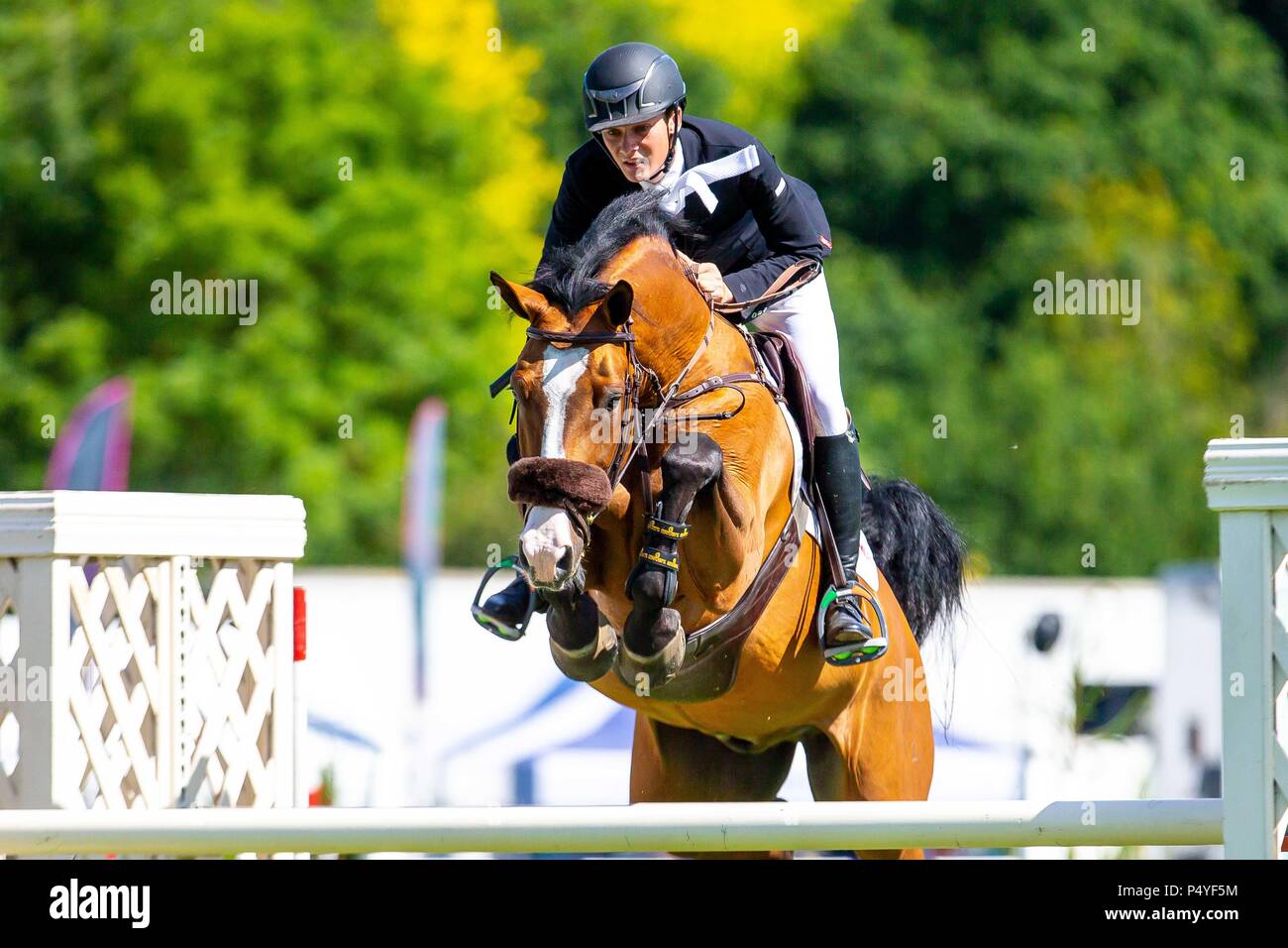 West Sussex, UK. 22nd June 2018. 3rd Place. Michael Duffy riding Cassis ...