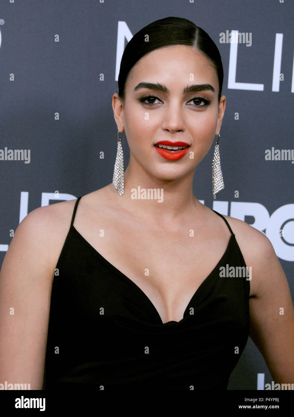LOS ANGELES, CA - JULY 23: Actress Melissa Barrera attends the NALIP ...