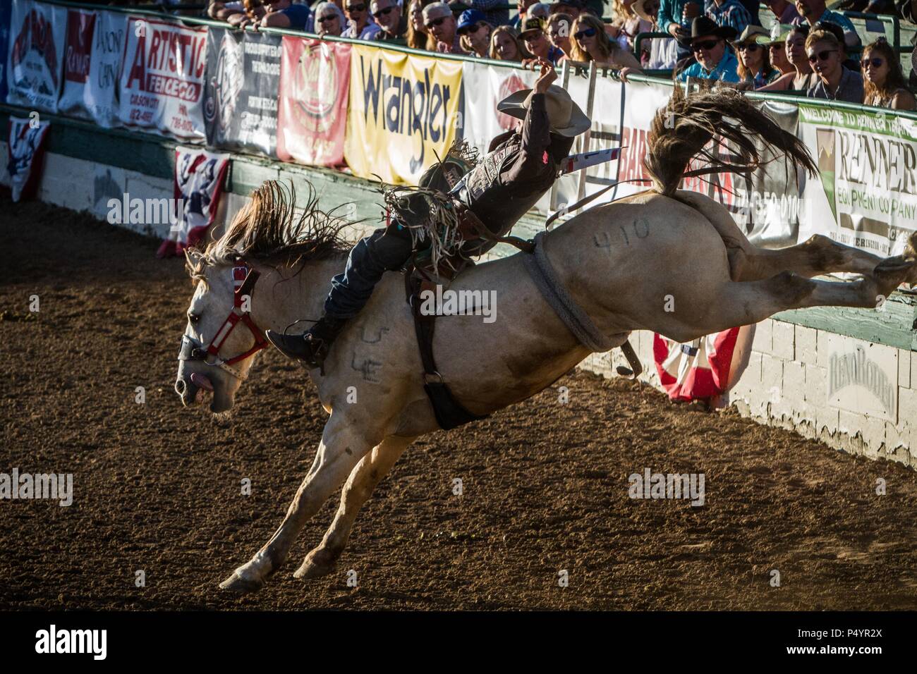 Austin Rodeo High Resolution Stock Photography and Images - Alamy