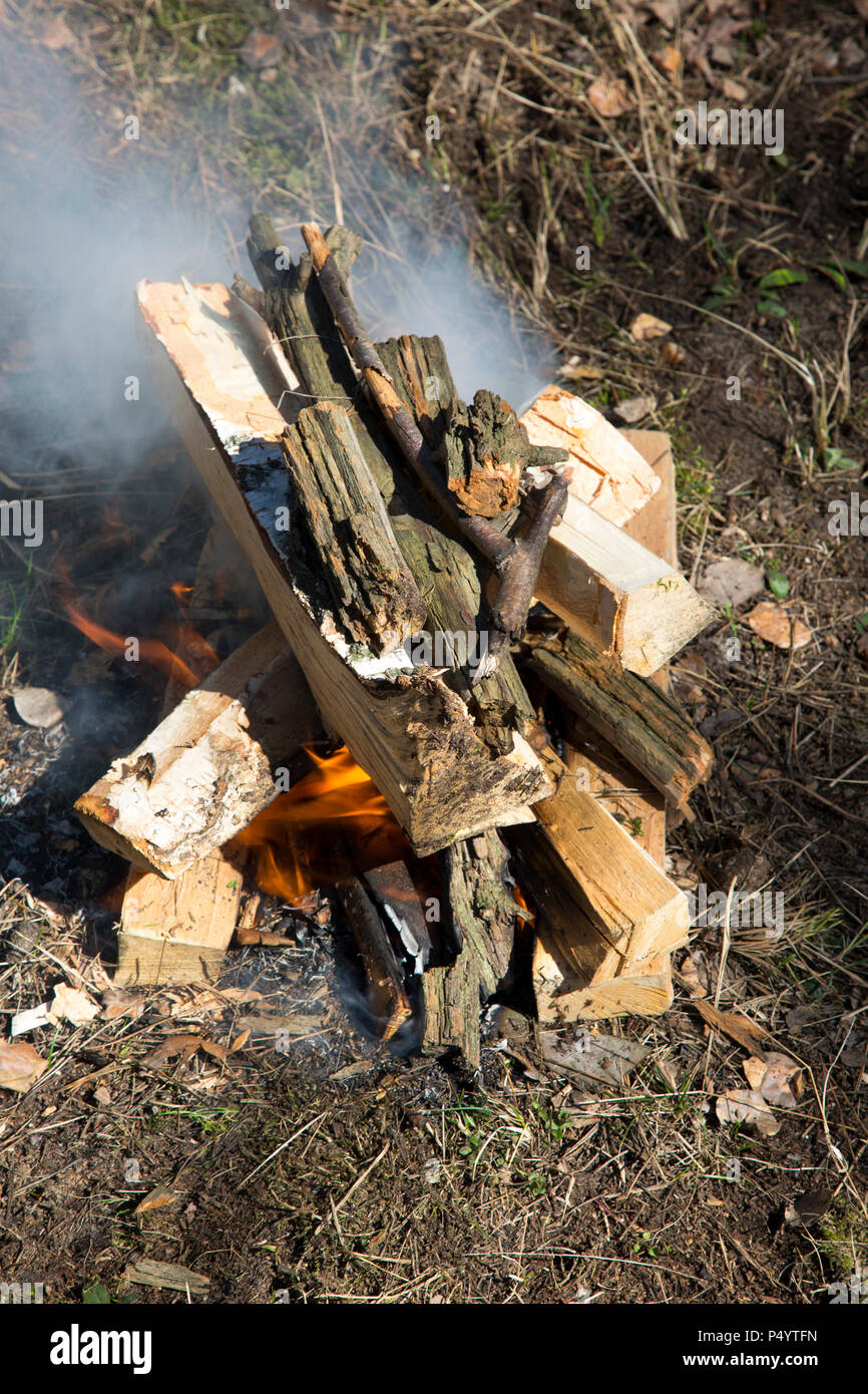 Firewood in the forest on earth burn. Fireplace for barbecue. Shish ...