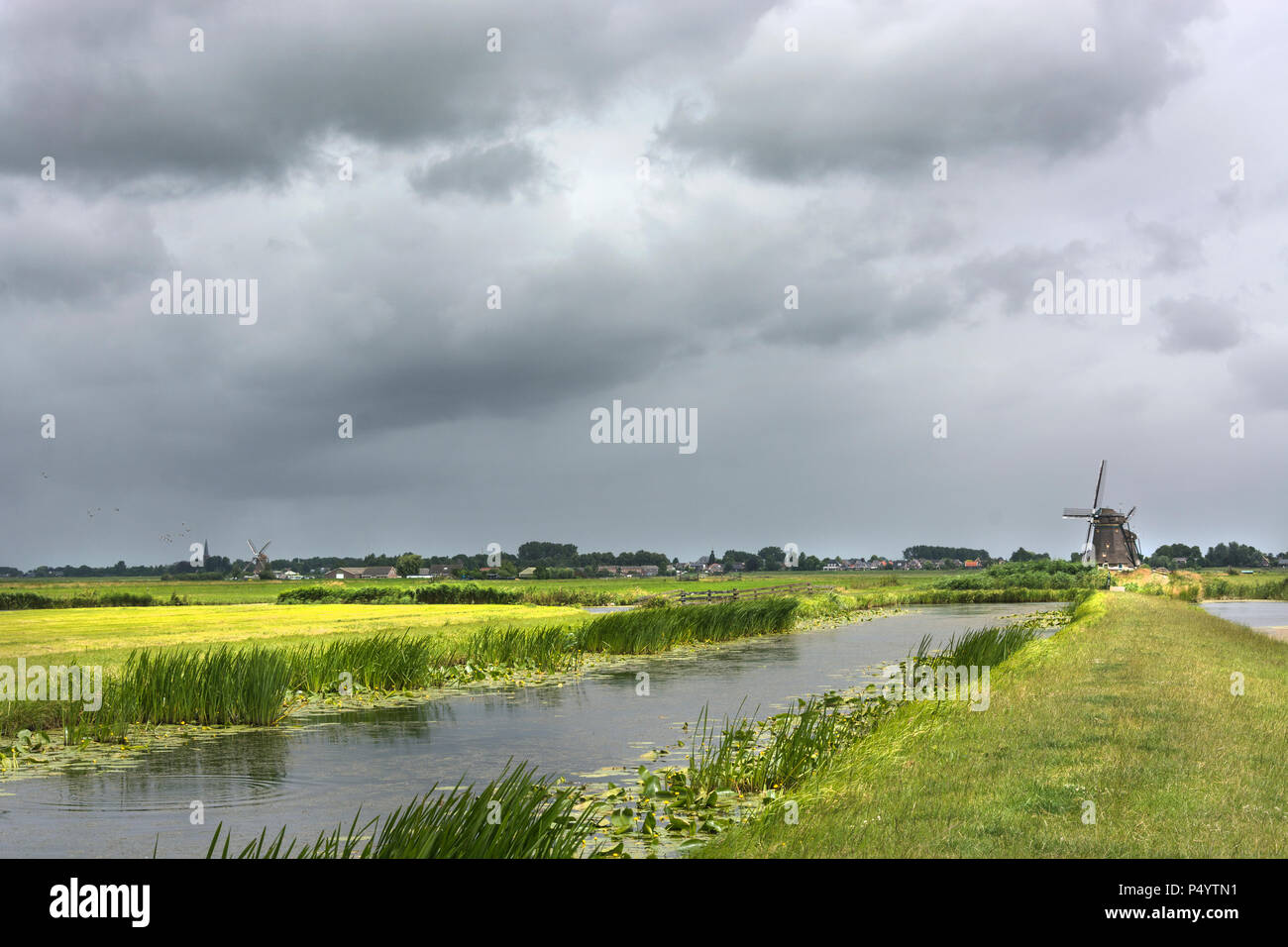 Typical Dutch landscape in summer with water and windmill and ...