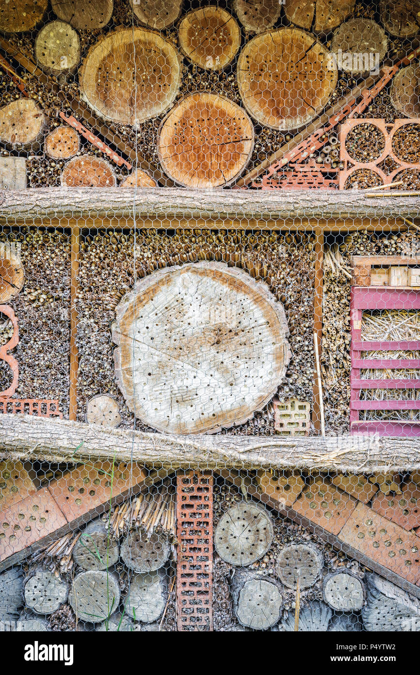 Insect hotel in park. Natural scene. Detailed photo Stock Photo - Alamy