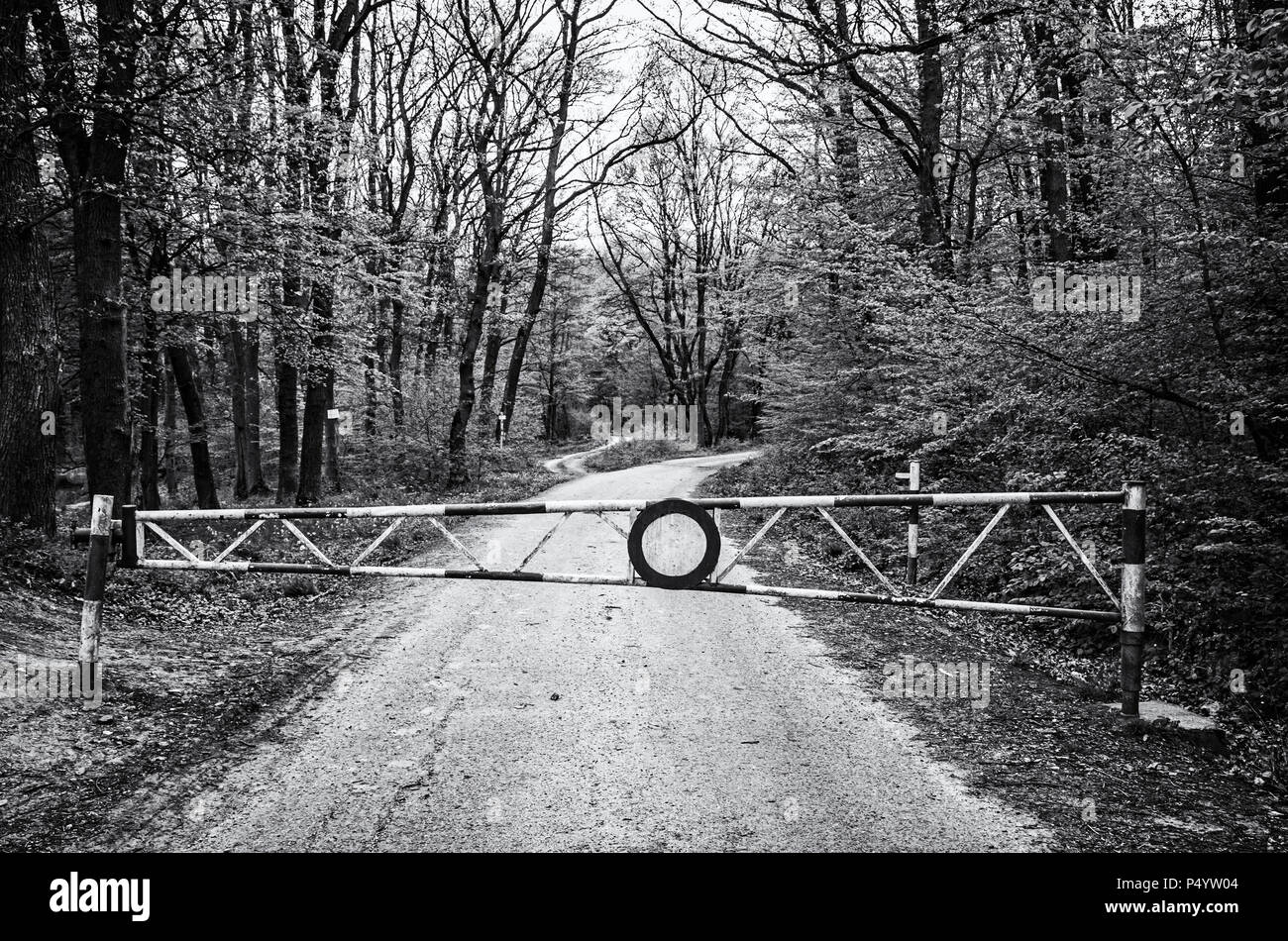 No entry to the forest path. Barrier and green forest. Black and white ...