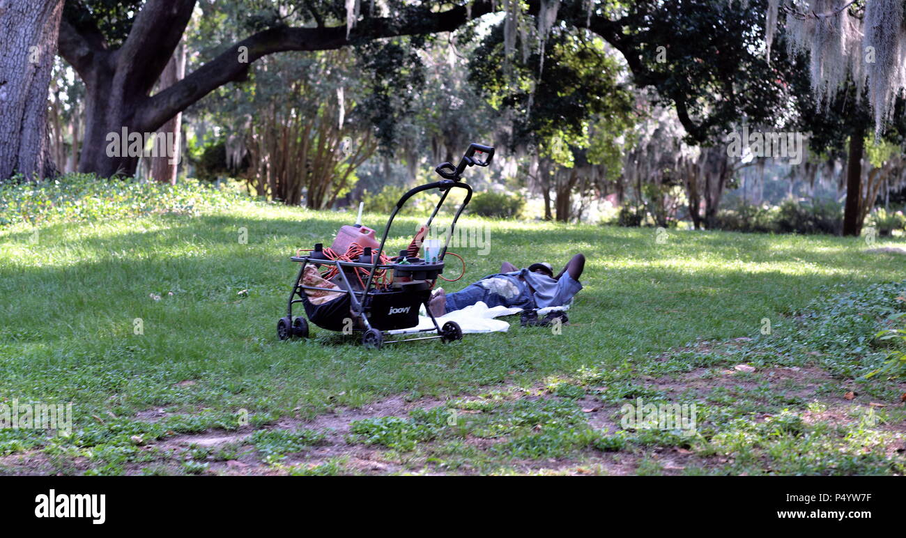 Muggy day hi-res stock photography and images - Alamy