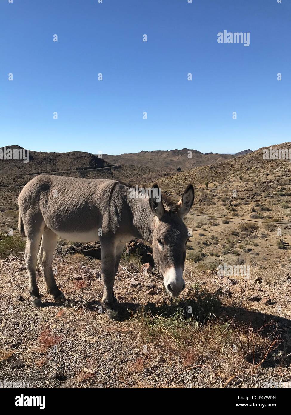 Golden valley hi-res stock photography and images - Alamy