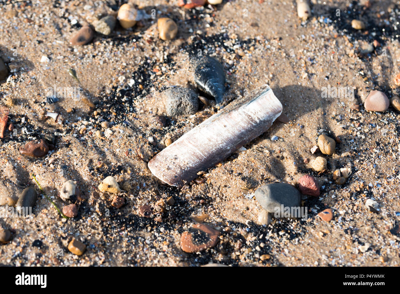 Yorkshire pebble beach hi-res stock photography and images - Alamy