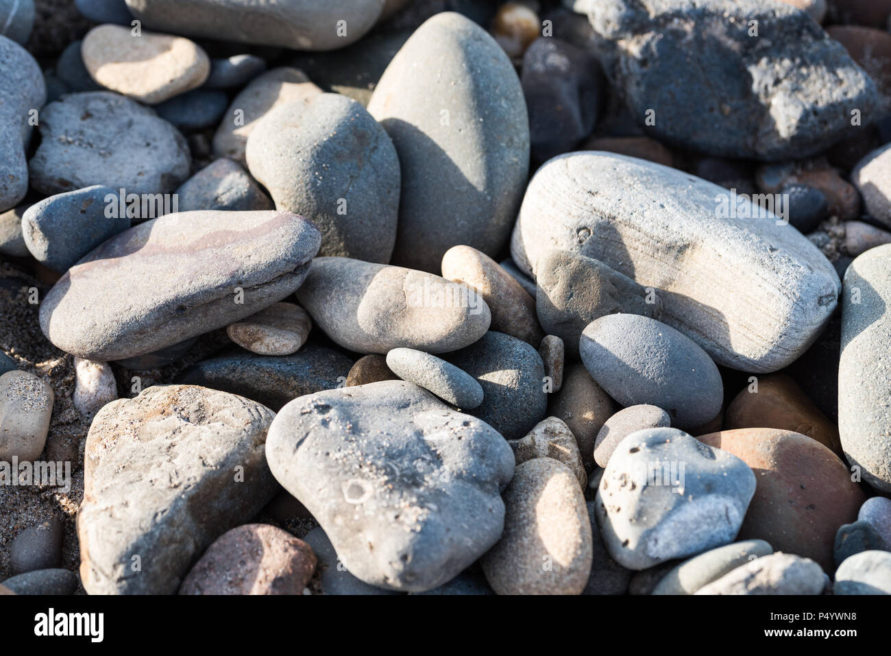 Beach pebbles rocks shells hi-res stock photography and images - Alamy