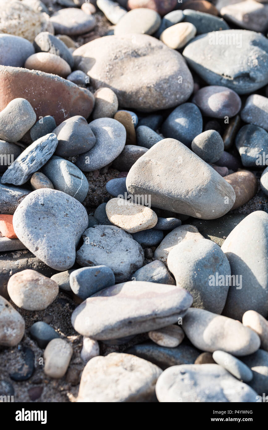 Saltburn by the sea fossils hi-res stock photography and images - Alamy