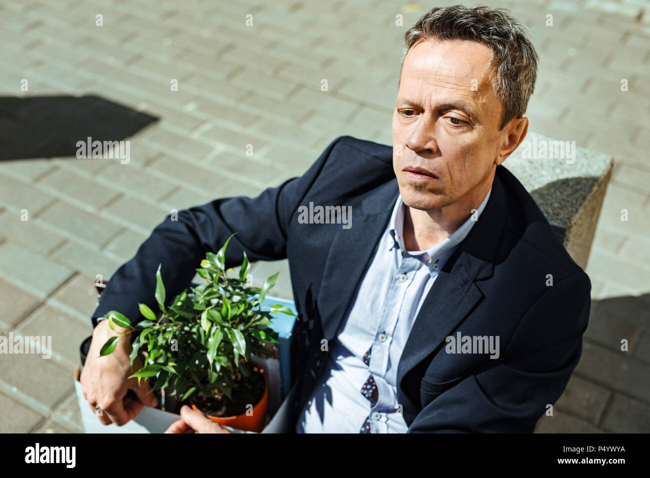 Fired sad man taking his favorite decorative plant Stock Photo - Alamy