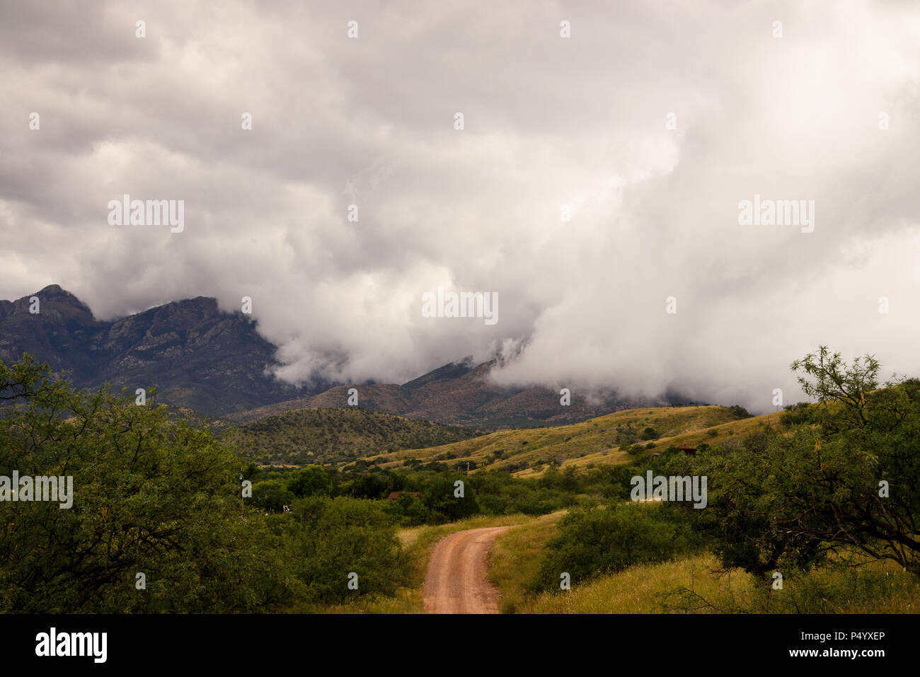 Apache springs ranch hi-res stock photography and images - Alamy