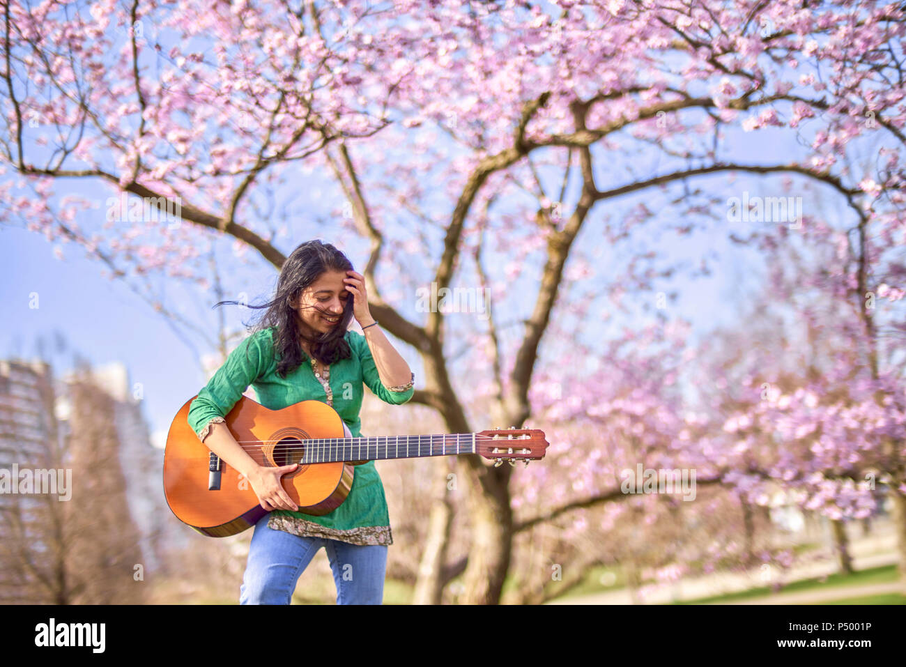 Guitar Tree High Resolution Stock Photography and Images - Alamy