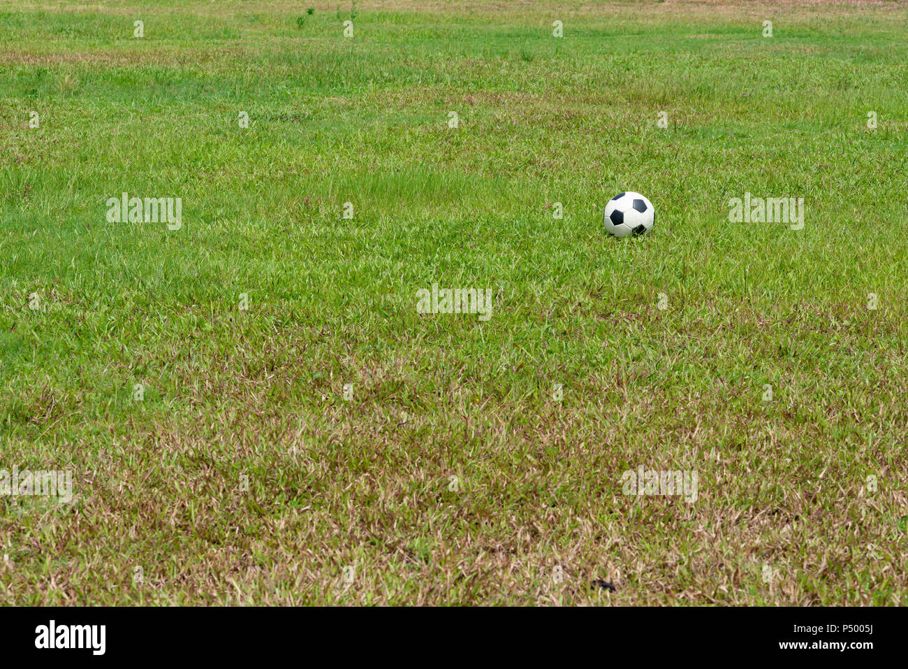 soccer ball on grass of a soccer field Stock Photo - Alamy