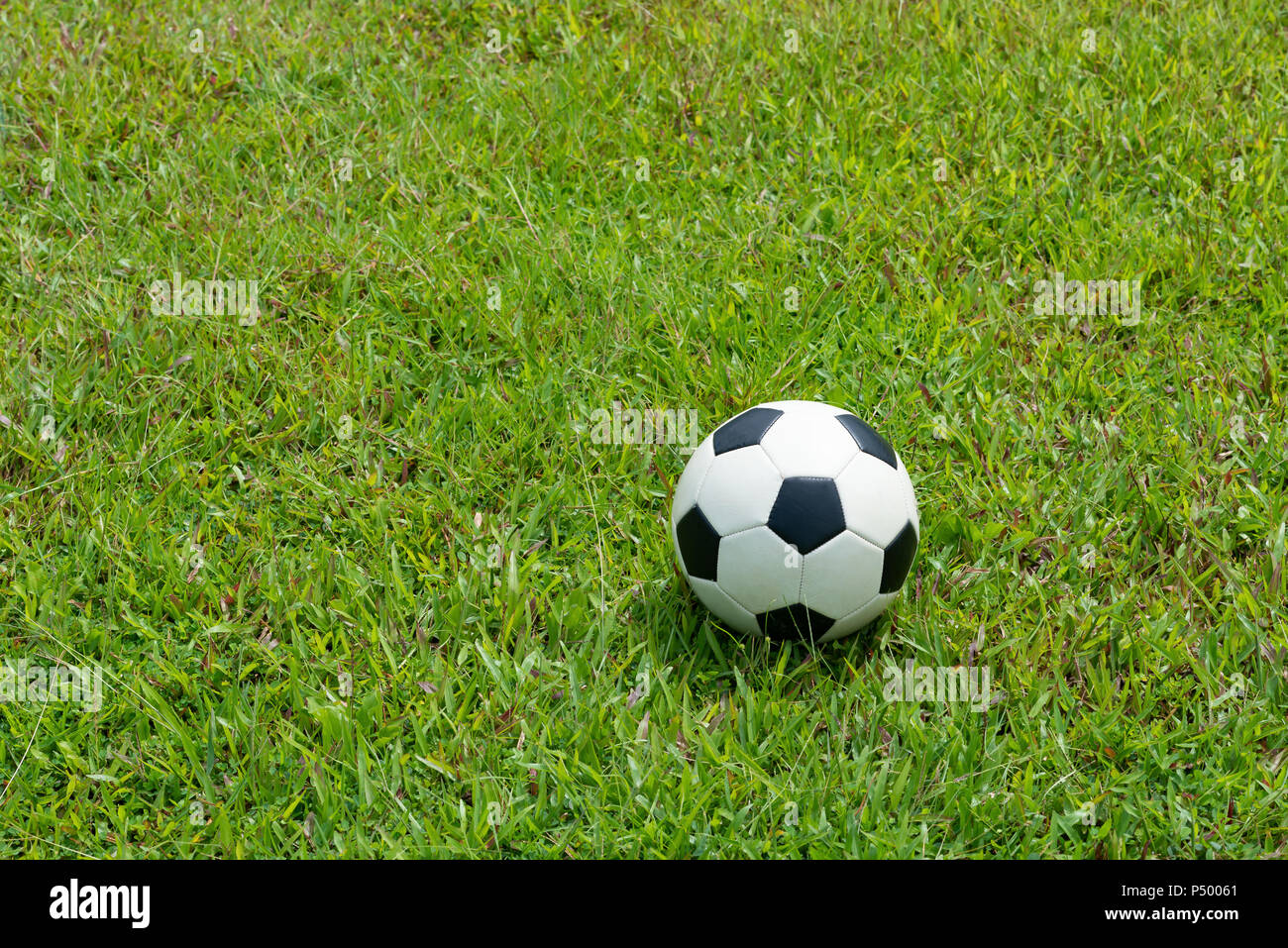 soccer ball on grass of a soccer field Stock Photo - Alamy
