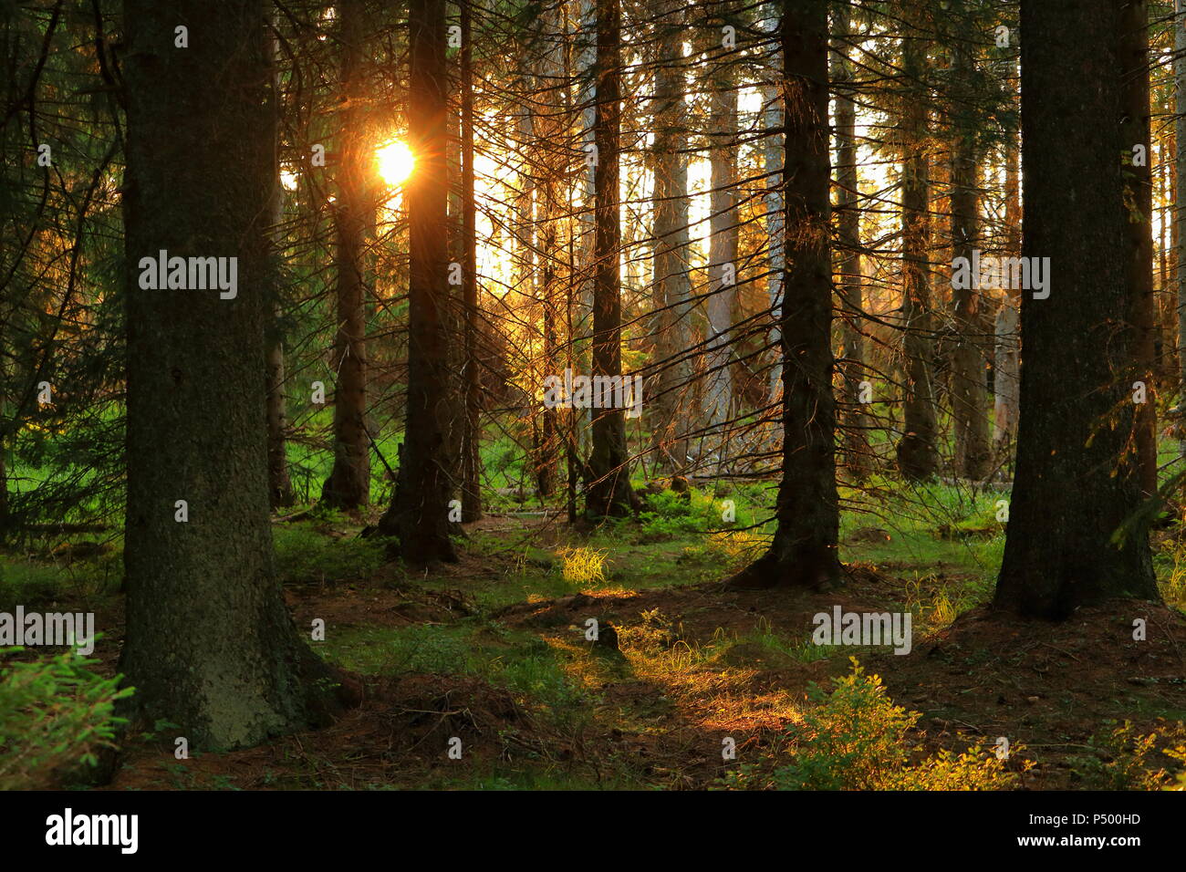 Harz low mountain range germany hi-res stock photography and images - Alamy