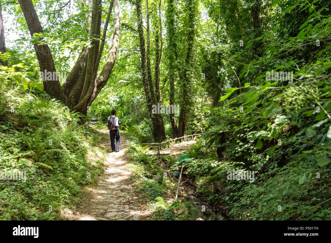 Tsagarada hi-res stock photography and images - Alamy