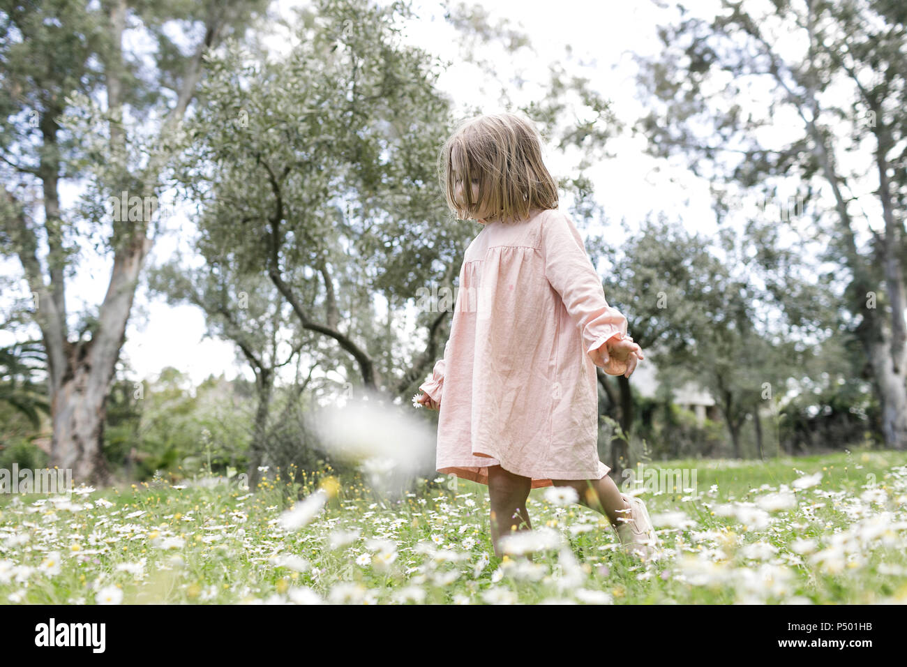 Walking flower hi-res stock photography and images - Alamy