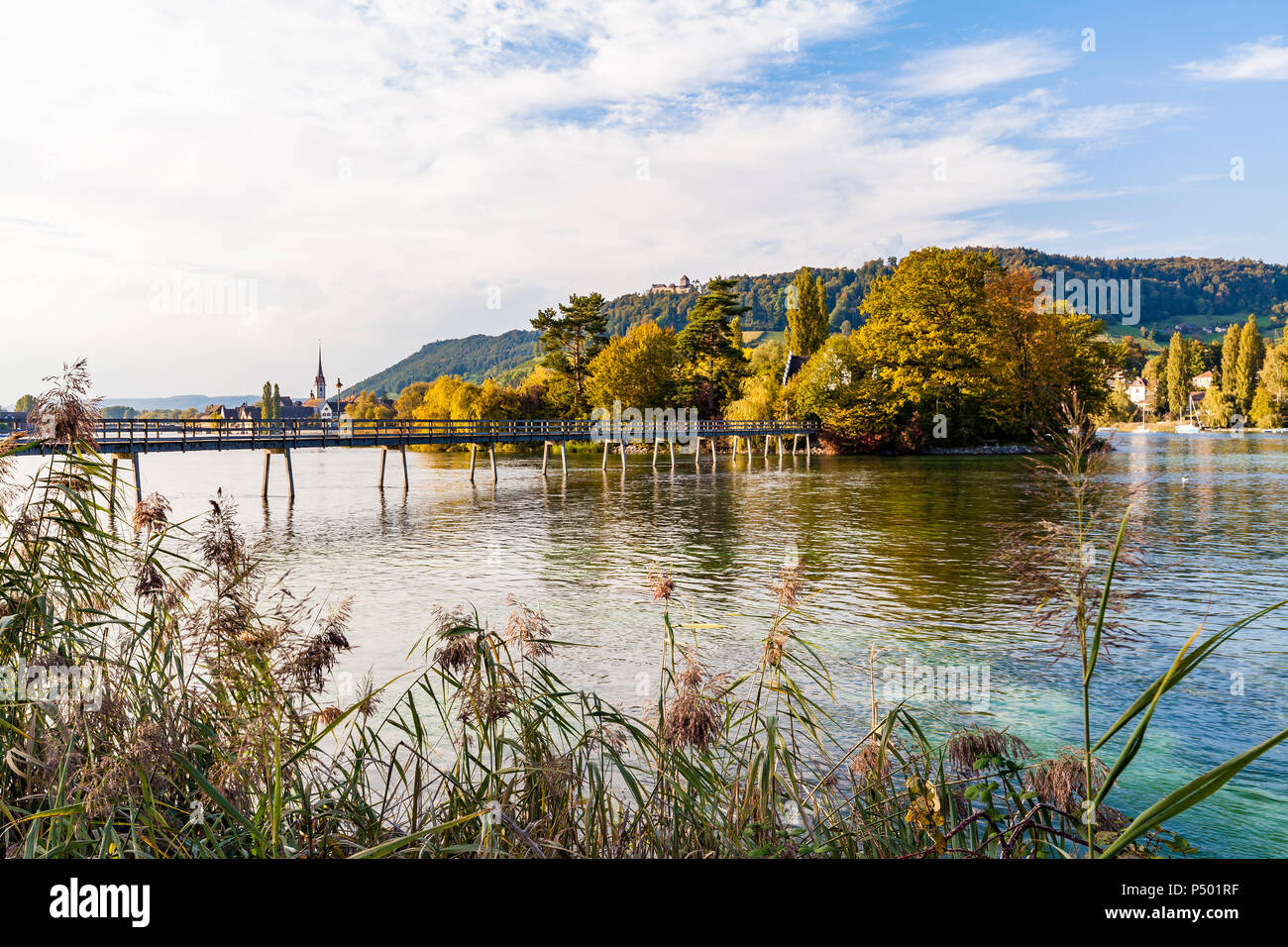 Switzerland, Thurgau, Lake Constance, Rhine river, View to Island Werd ...