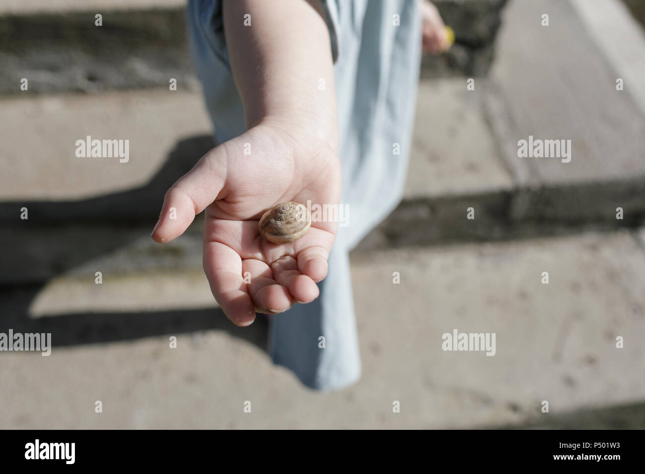 Snail shell on little girl's palm Stock Photo - Alamy