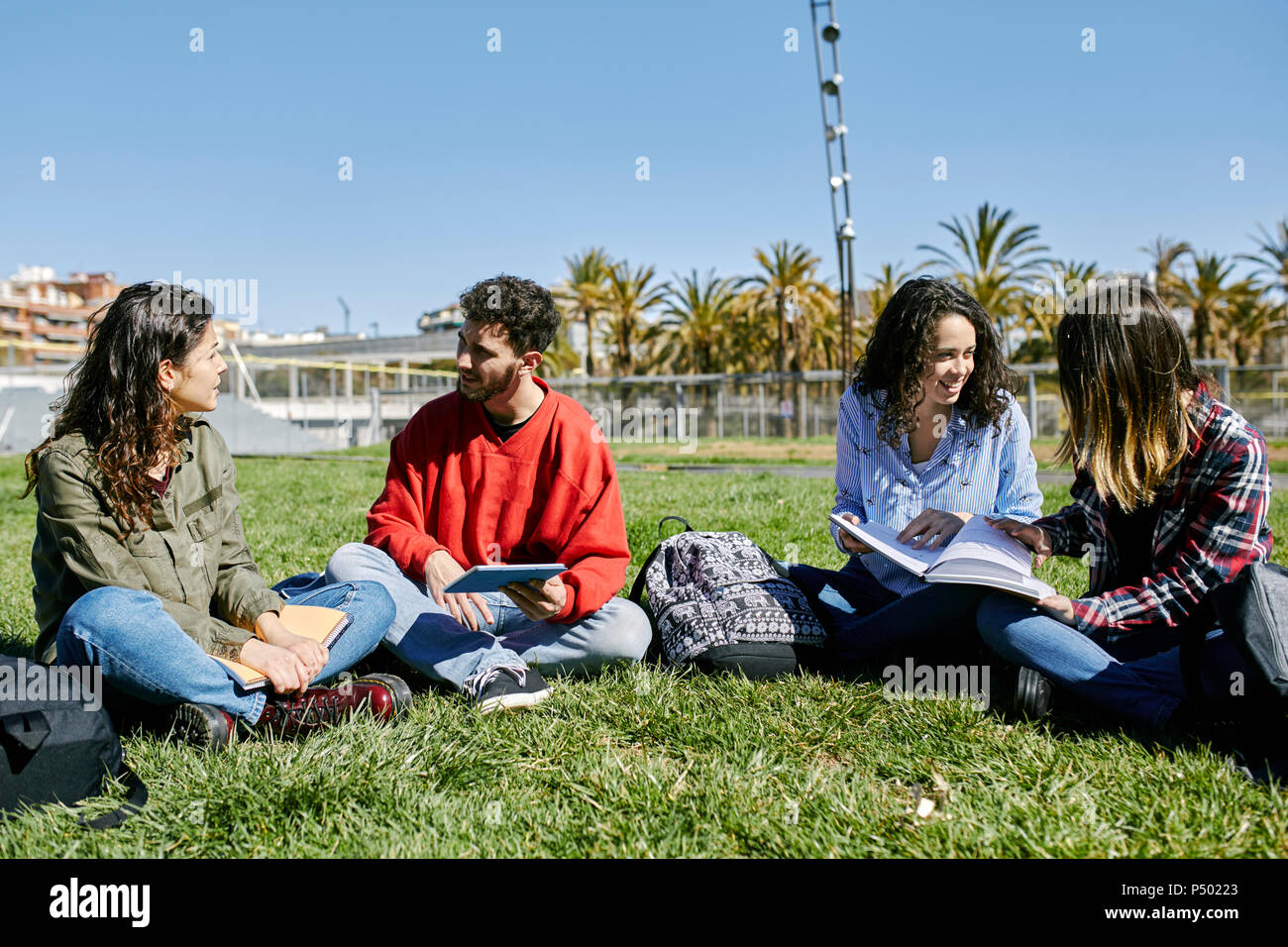 Four students sitting in park learning together Stock Photo - Alamy