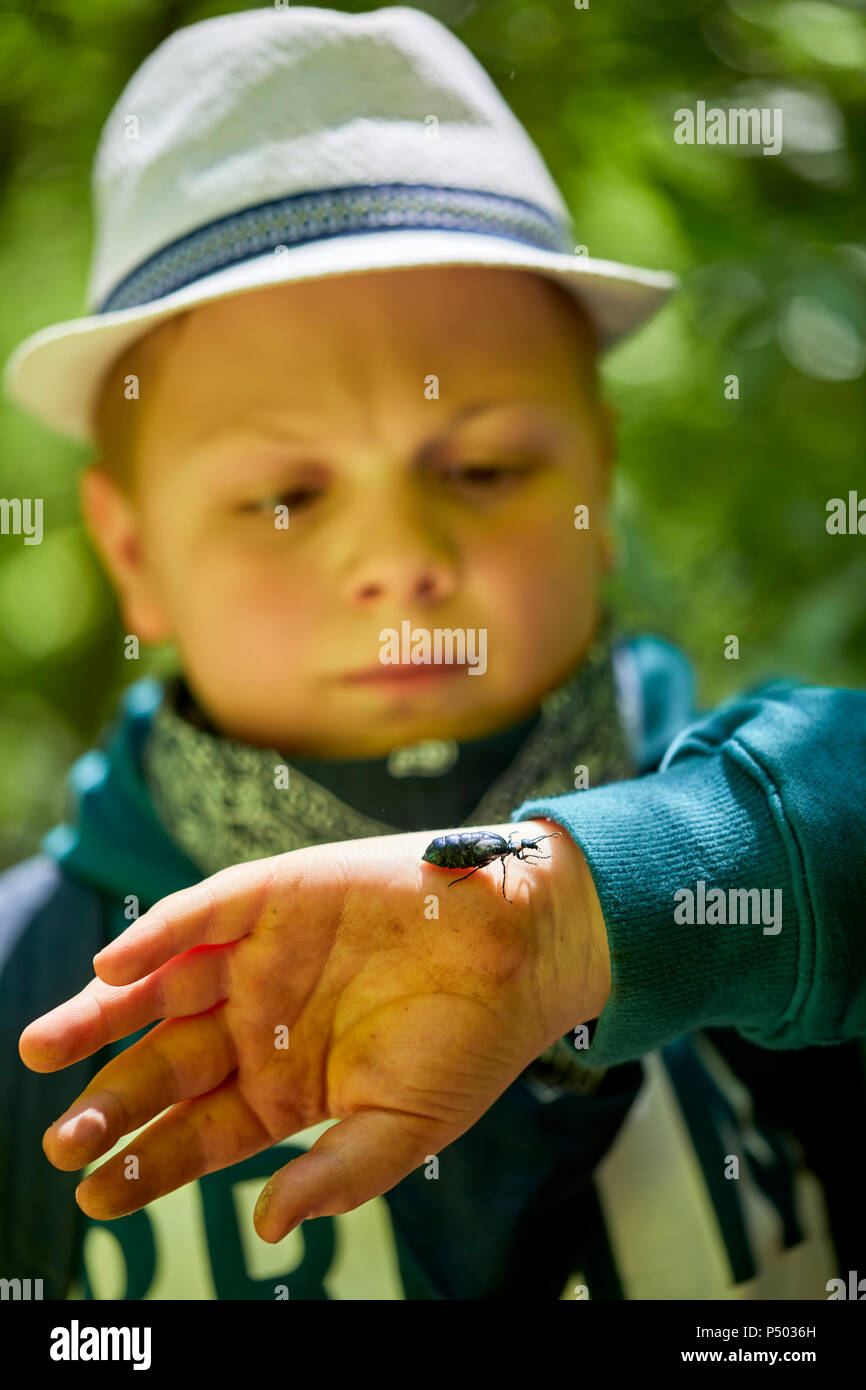 Boy examining beetle on his hand Stock Photo - Alamy