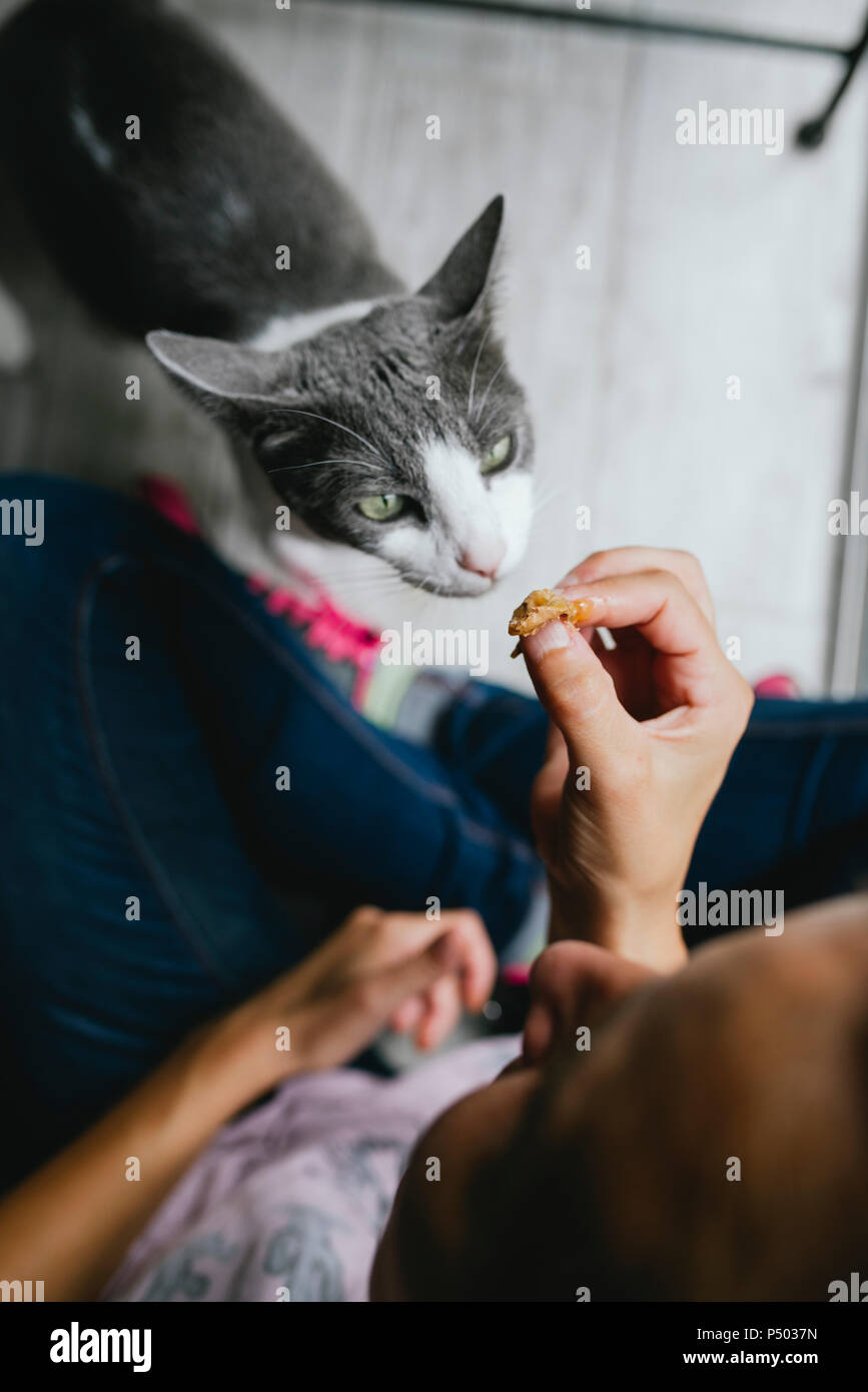 Woman feeding a cat hi-res stock photography and images - Alamy