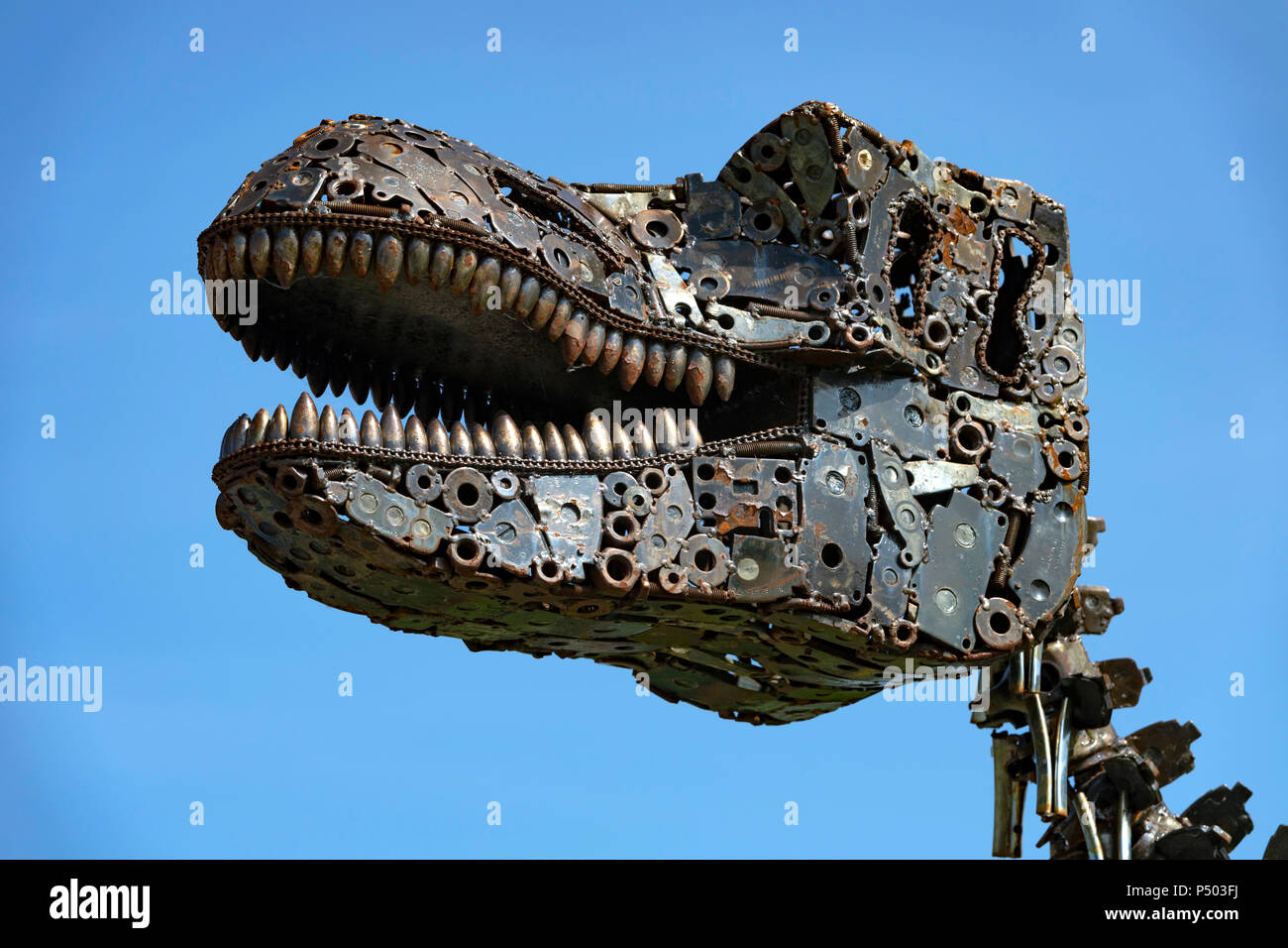 Tyrannosaurus Rex (T-Rex) Dinosaur sculpture on display at the British ...