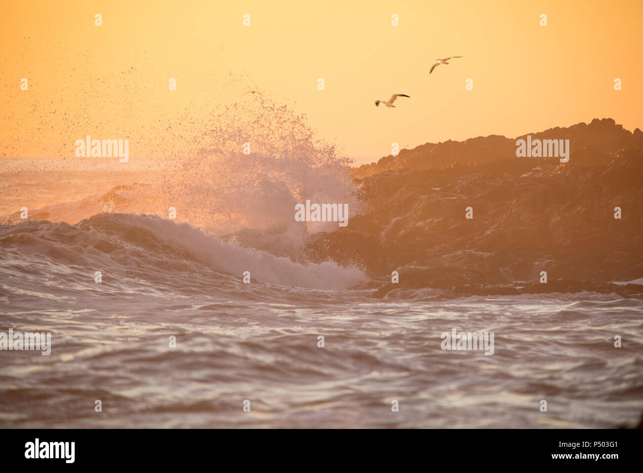 The birds fly south hi-res stock photography and images - Alamy