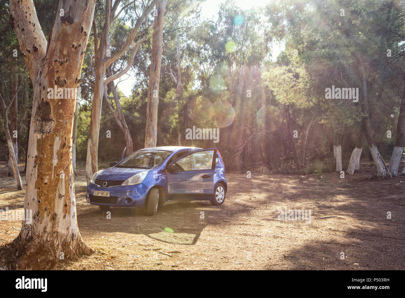 Parking under trees hi-res stock photography and images - Alamy