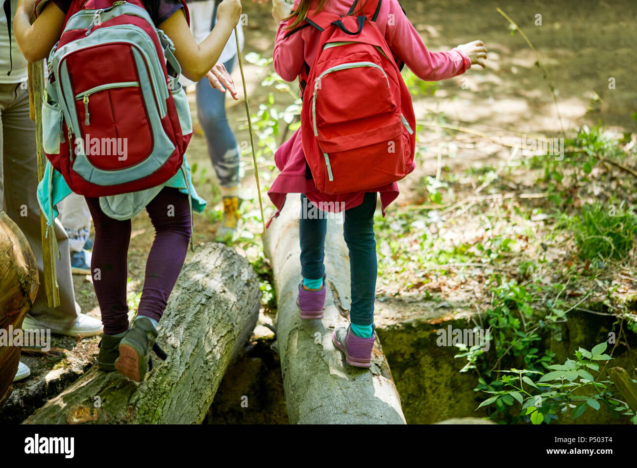 Tree log balance balanced balancing hi-res stock photography and images ...