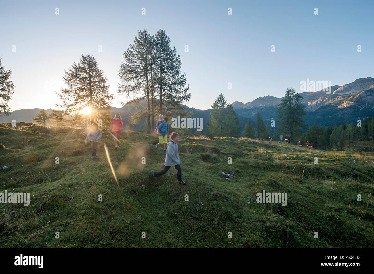 Family hiking alpine meadow sunset hi-res stock photography and images ...