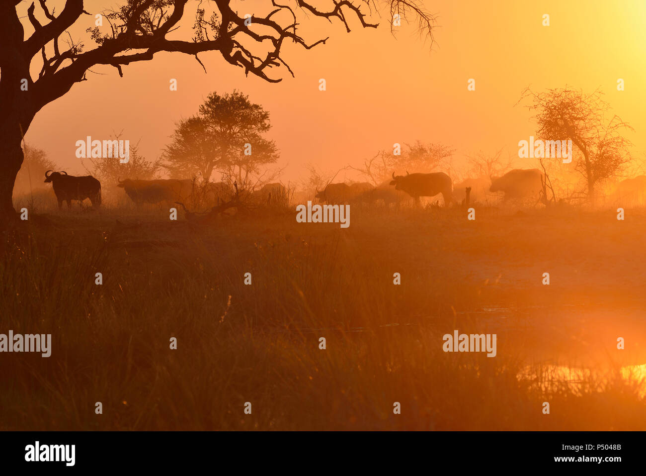 National park core area hi-res stock photography and images - Alamy